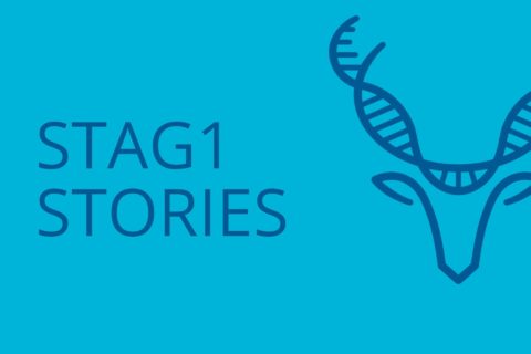 STAG1 Stories - STAG 1 Gene Foundation